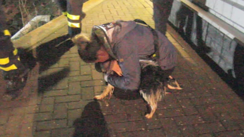 Hond gered uit rivier